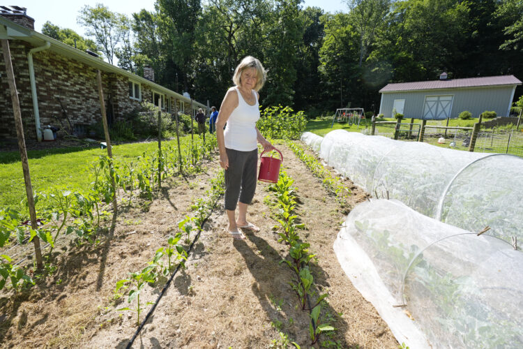Watchdog Group: Toxic Garlic Should Have Led EPA To Warn Against ...